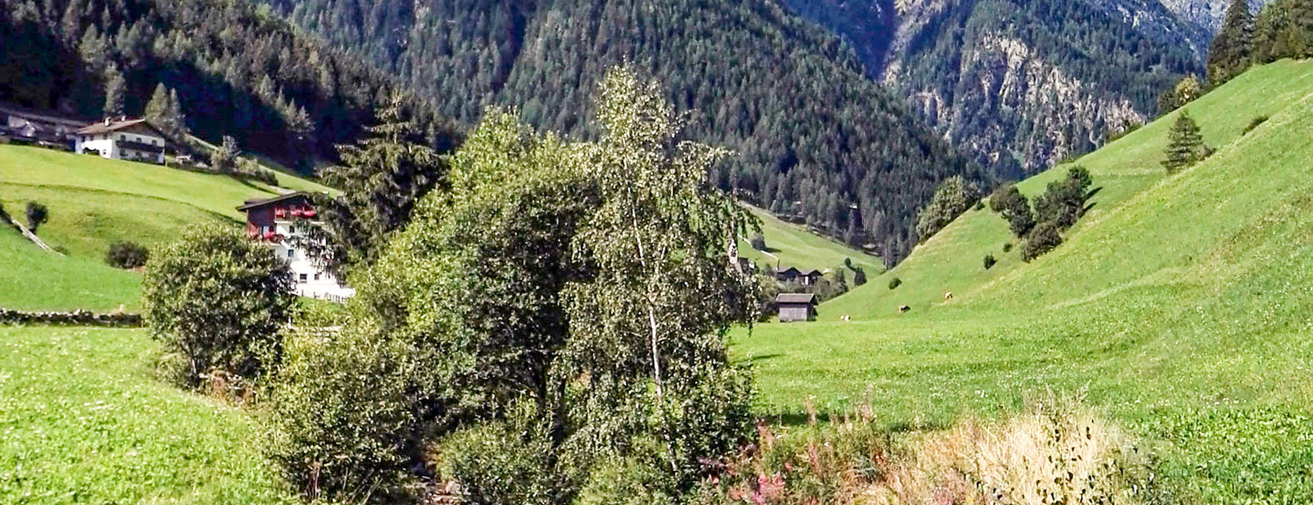 News - „Almweiden garantieren artenreiche Gebirgsbäche” - News - der ...