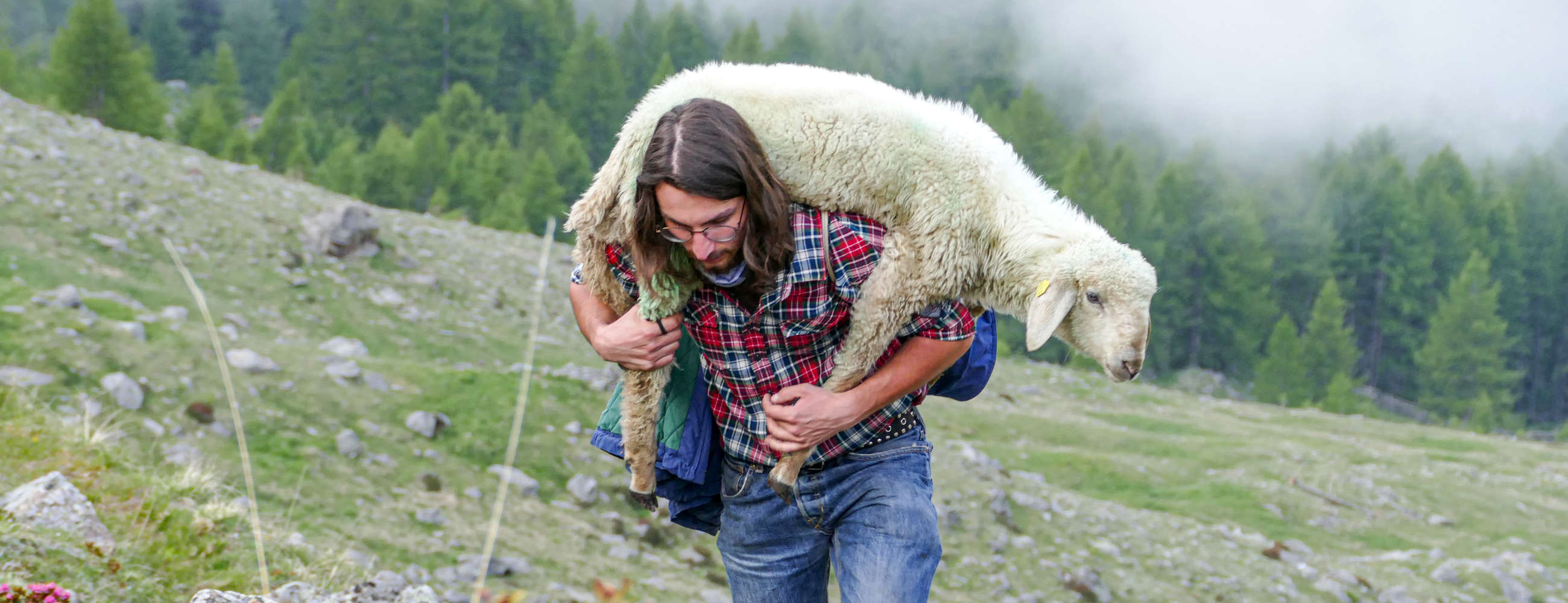 Thema - Mit Geblöke auf das Joch - der Vinschger