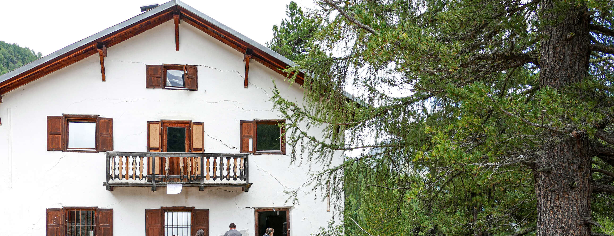 Gesellschaft - Neue Hirtenhütte auf der Enzian-Alm - der Vinschger