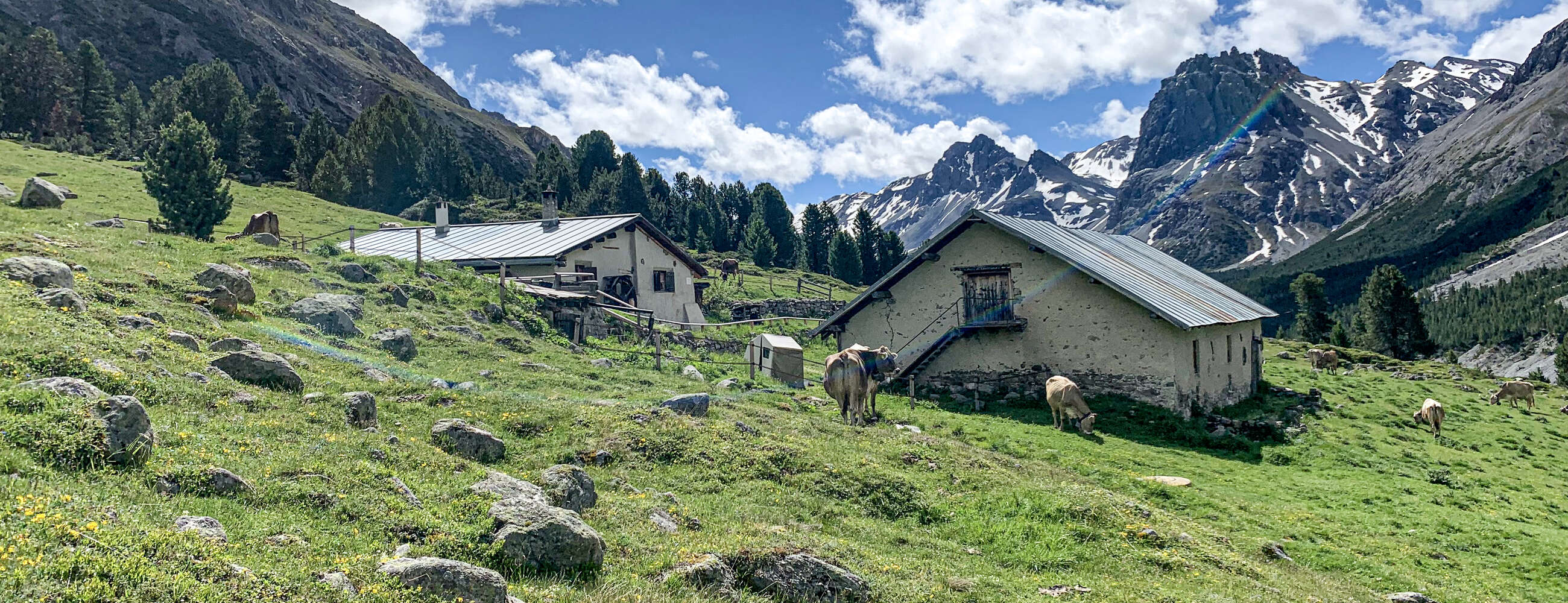 Gesellschaft - Alp Sprella wird SAC-Hütte - der Vinschger