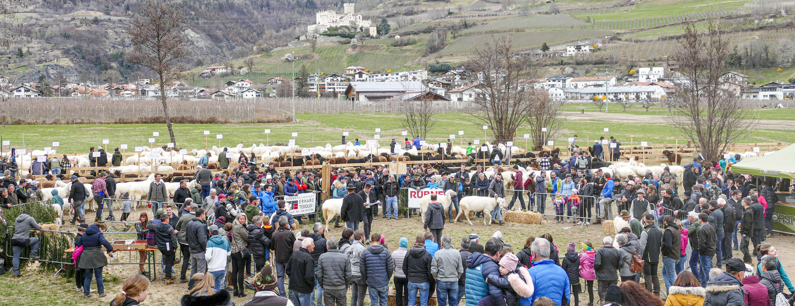 Gesellschaft - „Viele Schof und nou mea Leit“ - der Vinschger