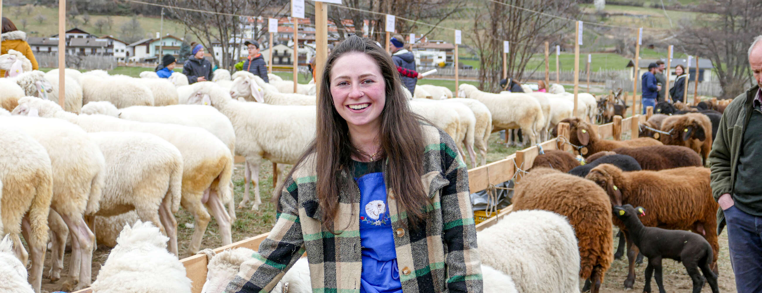 Gesellschaft - „Viele Schof und nou mea Leit“ - der Vinschger