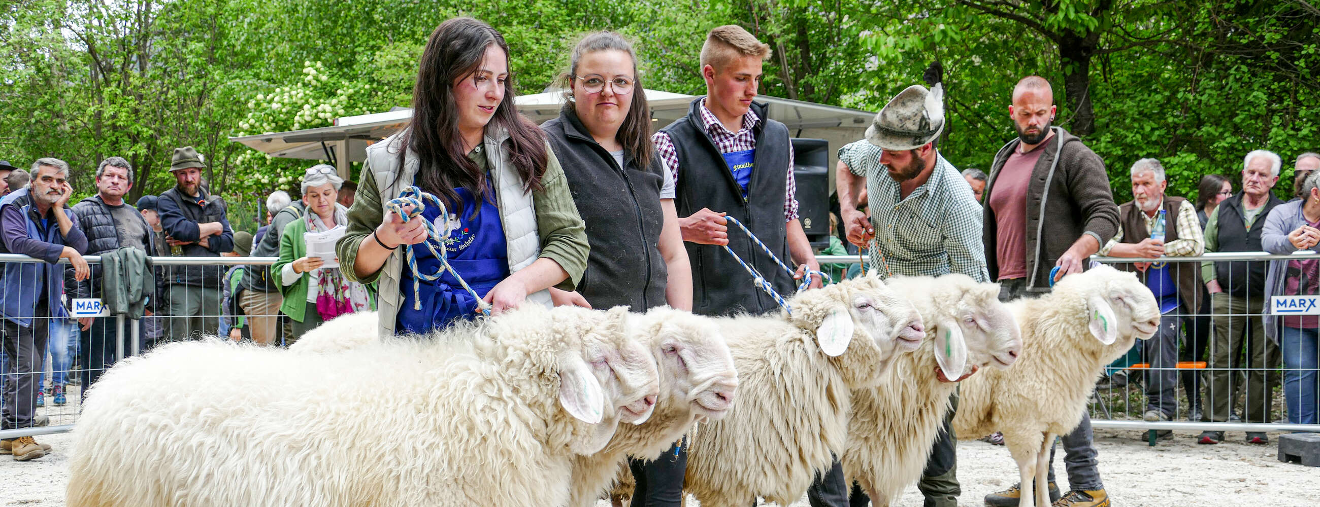 Gesellschaft - „Viel Schof und viel Leit“ - der Vinschger