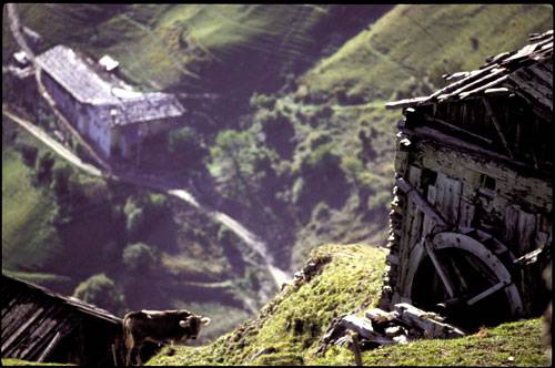 Kultur - Die Metze - der Vinschger